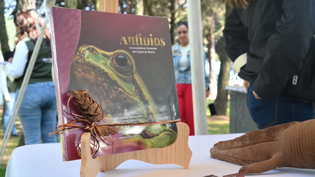 Presenta Probosque libro sobre anfibios en ecosistemas forestales - El ...